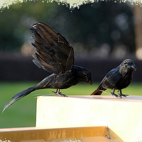 Faux Crow Standing/flying Home Garden Decoration Halloween Party Decor ...
