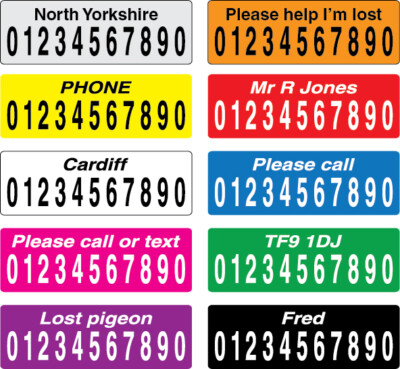 Racing Pigeon ETS Phone Number Stickers+20% EXTRA FREE. ETS stickers ...