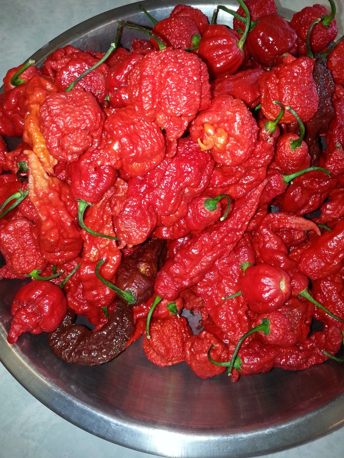 4 oz. 100% Pure Ghost Pepper Powder Insanely HOT! ORGANIC Inferno | eBay