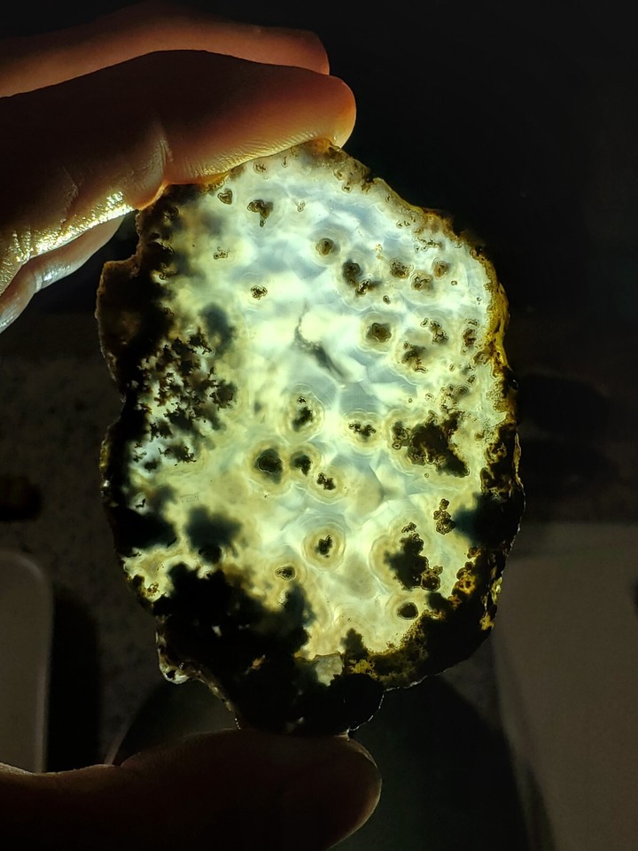 2 Woodward Ranch Pom-Pom Tube Plume Agate Rough Alpine Texas 92g | eBay