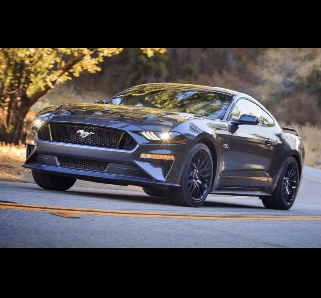 NEW 19” Ford Mustang GT 5.0 Performance Pack OEM PP Wheels Rims Tires ...