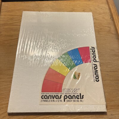 Skylight Studio Canvas Panels Art Painting 9 X 12” Canvas Panels (2 ...