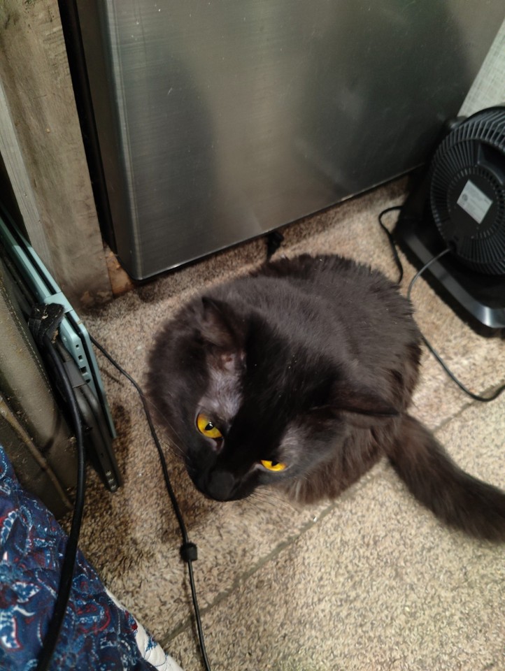 22 Inches 10 Notes D Minor 432HZ Adult's Steel Handpan Bell Rain Drum ...