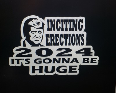 Vinyl decals for cars trucks funny political bumper stickers Trump 2024 ...