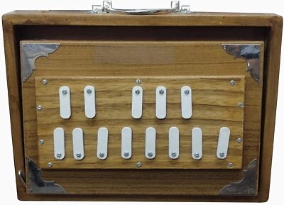 12" SHRUTI BOX SURPETI 432 Hz SPECIALLY DESIGNED FOR BHAJAN KIRTAN YOGA ...