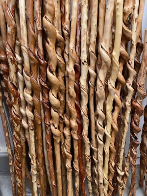 Vine Curled Walking Sticks (Ebay) | eBay