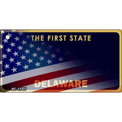 Delaware with American Flag Novelty Metal Key Chain KC-12337 | eBay