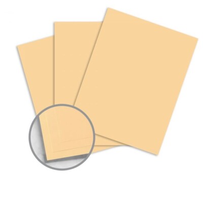 Domtar Colors Earthchoice Ivory Card Stock Paper - 110 lb, 8.5" x 11 ...