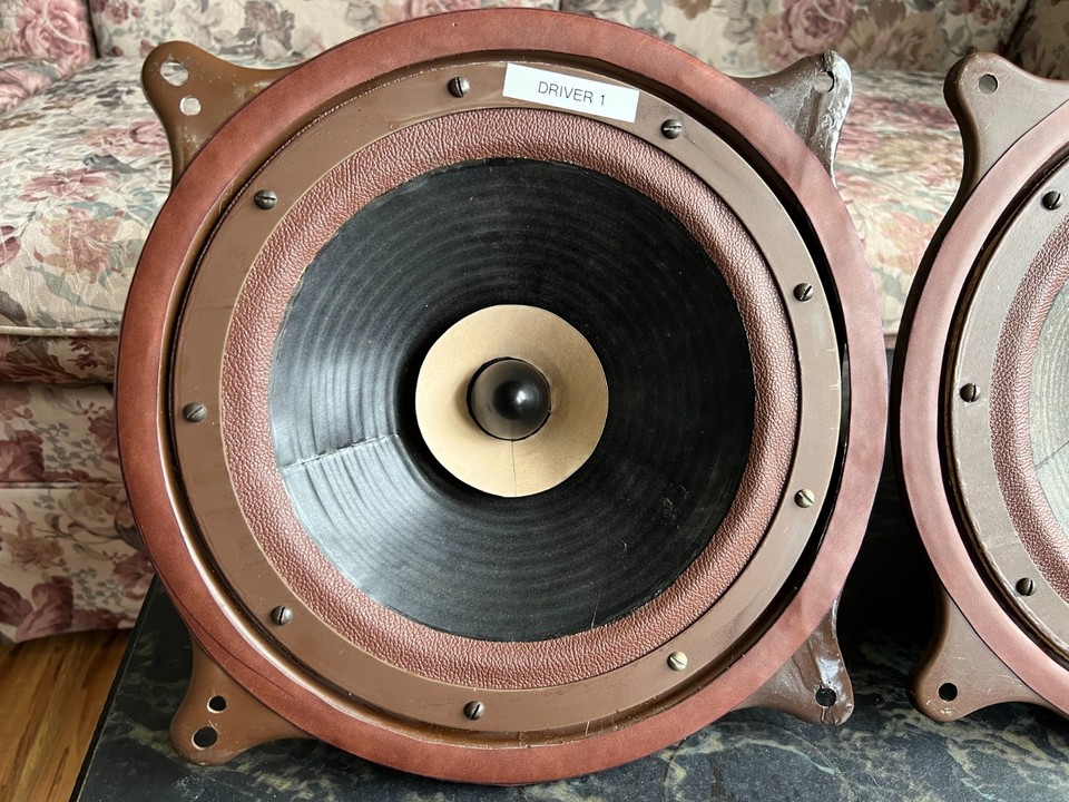 Modified RCA 1920s-1930s antique full-range field coil drivers (a pair ...