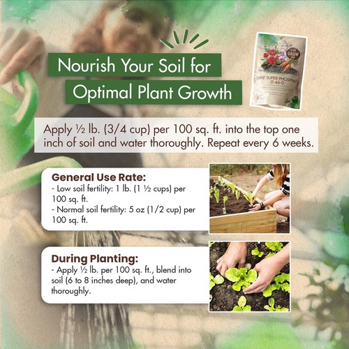 Triple Super Phosphate 0-46-0 Fertilizer, High Phosphorus Fertilizer ...