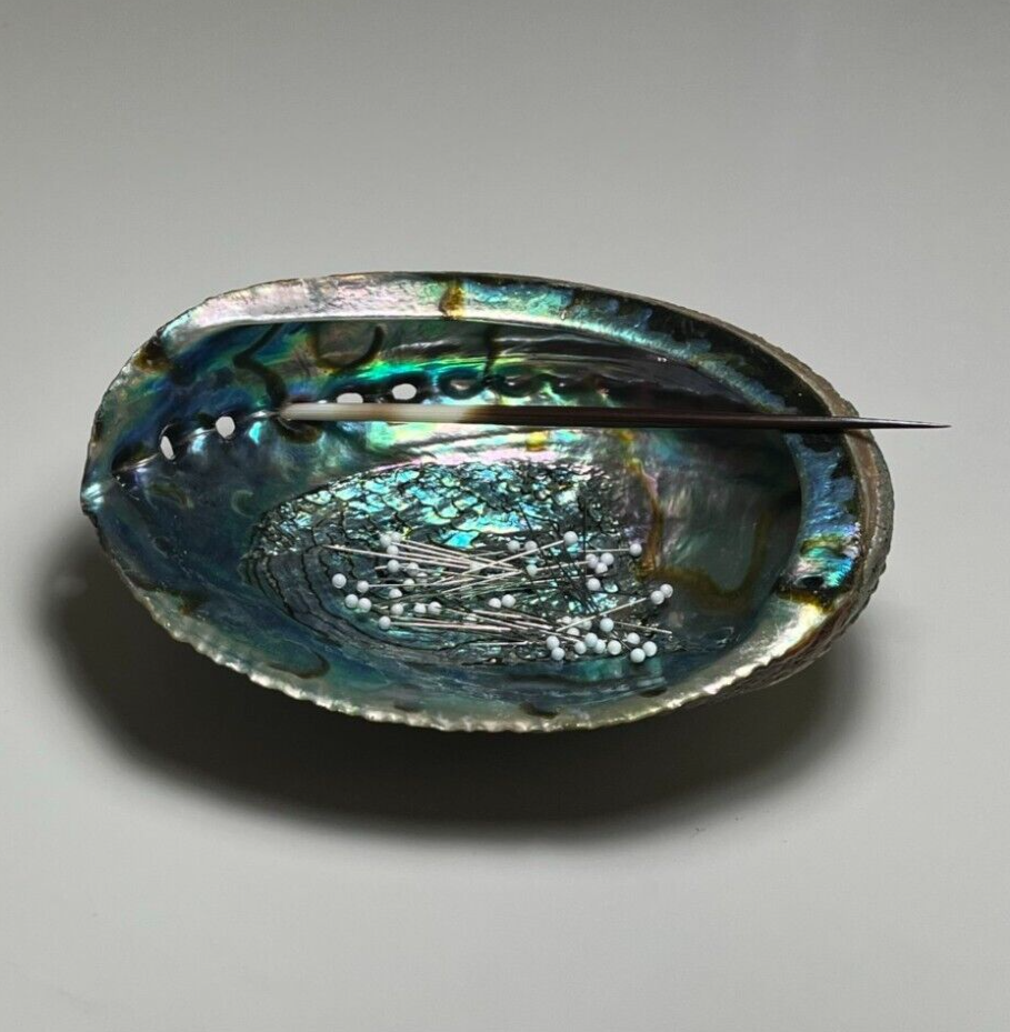 Large Abalone Shell Natural Paua Rainbow LG Sea Green Blue Shell Beach ...