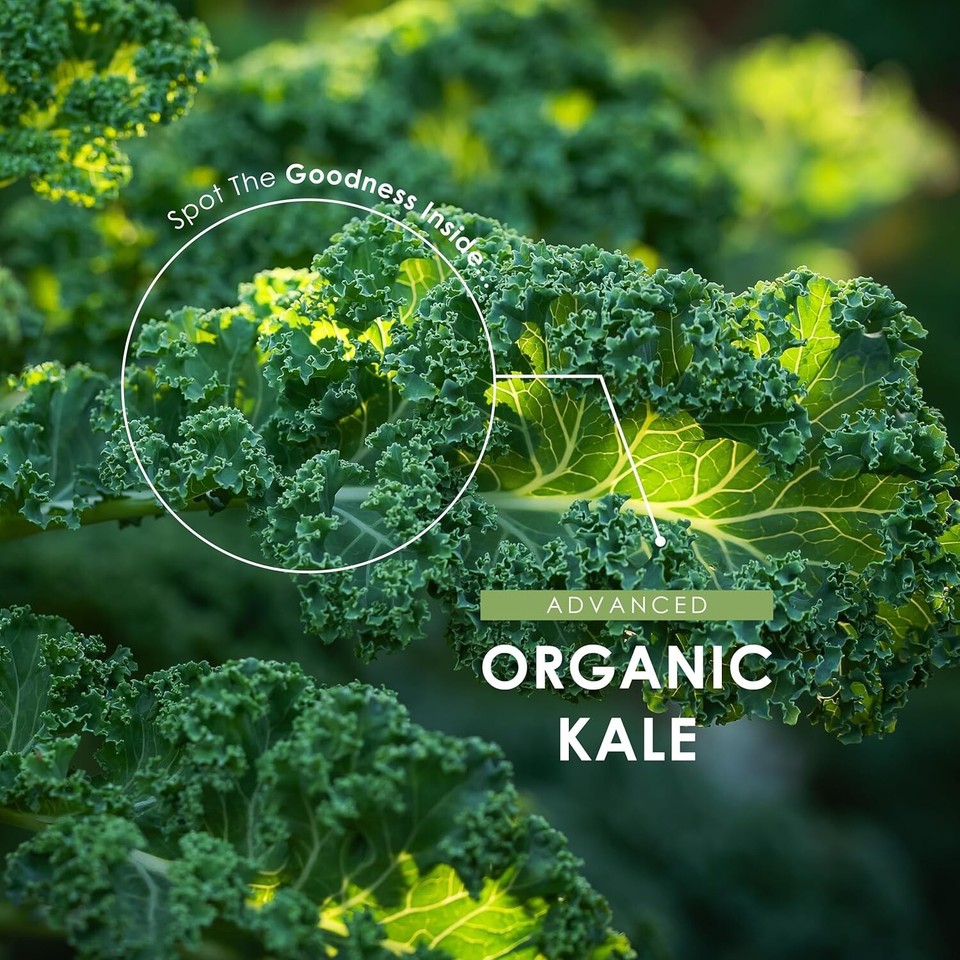 Organic Kale Capsules 500Mg Health Supplement x 90 Vegan Capsules OR ...