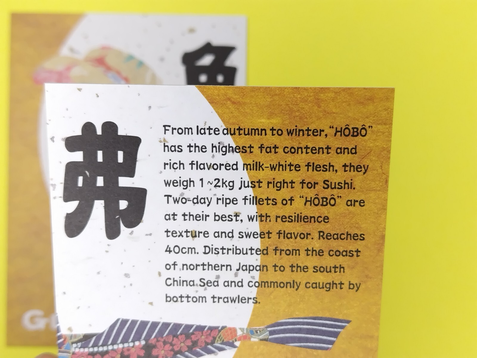 HOBO Kanji Educational Fish Card Game 2 Set Japan Japanese Art Interior ...