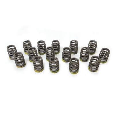 GM OEM SET OF 16 VALVE SPRINGS 1992-1996 7.4L 454 Big Block 10213465 | eBay