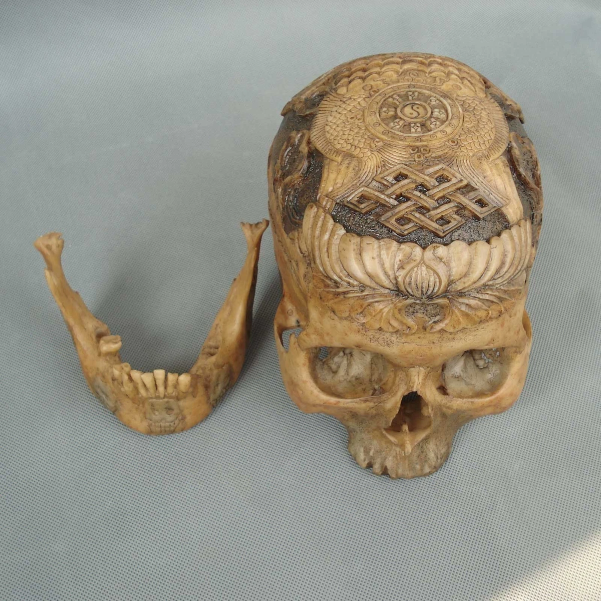 Real Tibetan Skull