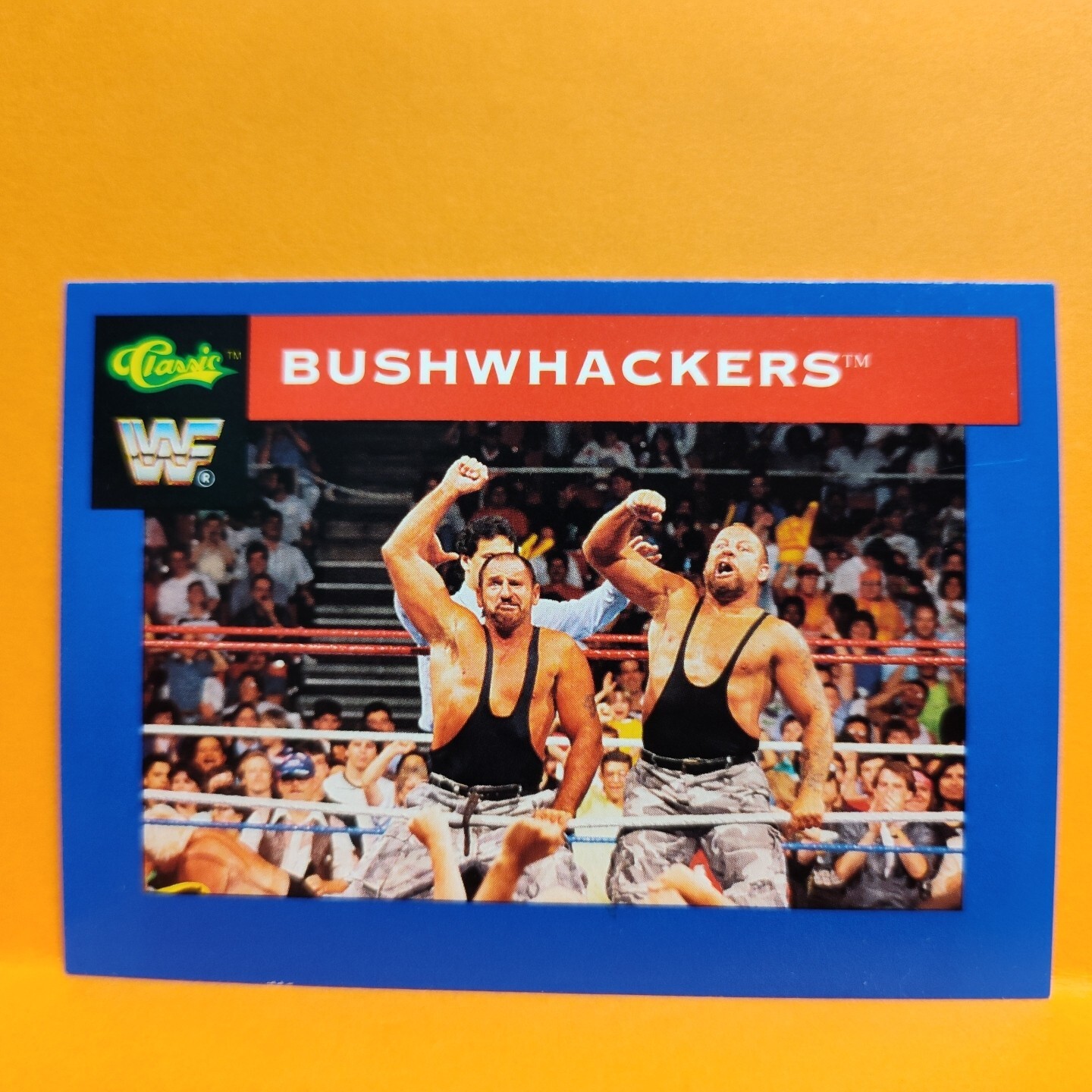 1991 Classic WWF Superstars Blue Border Card #15 The Bushwhackers | eBay