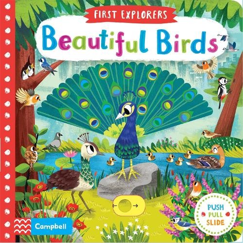 Campbell Books Beautiful Birds (Board Book) Campbell First Explorers ...
