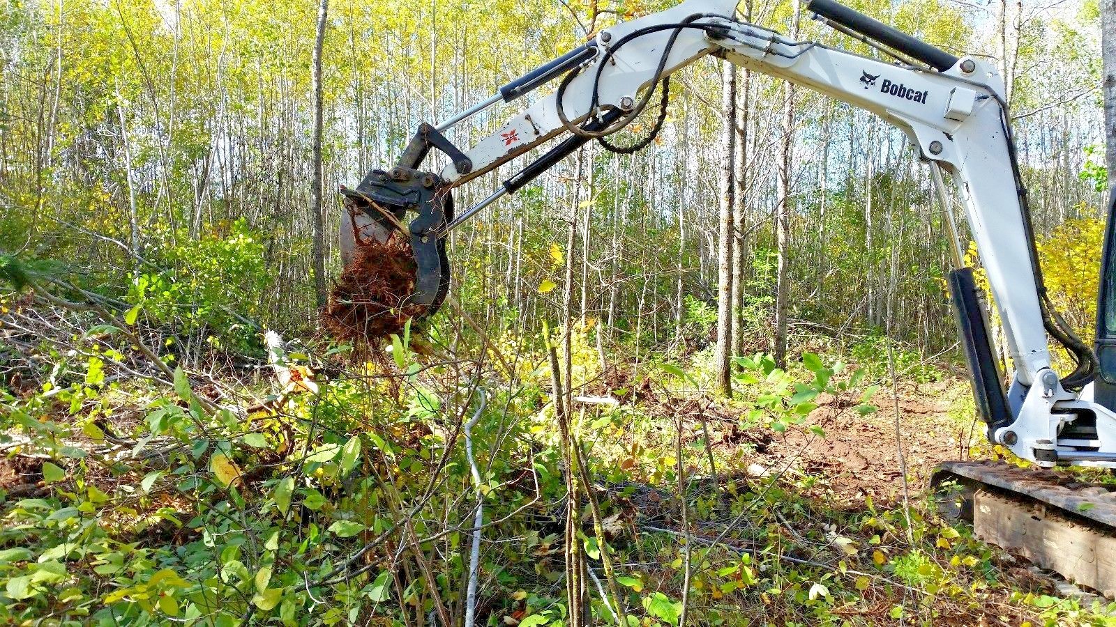 Bobcat 335 435 337 341 E42 E45 E50 E60 Excavator Root Frost Ripper Pick ...