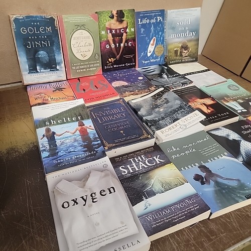 Lot of 51 Large Trade Literature Fiction Paperback BestSeller UNSORTED ...