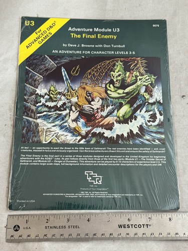 Sealed TSR 1983 D&D Dungeons and Dragons Module U3 The Final Enemy 9076 ...