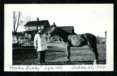 Vintage Photo Race Horse Poplar Gabbey @ GREEN MEADOWS FARM ...