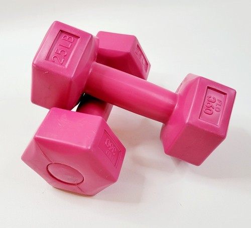 FLO 360 5 LB Pink Dumbbell Weight Set 2.5 Lbs Each Weights Workout ...
