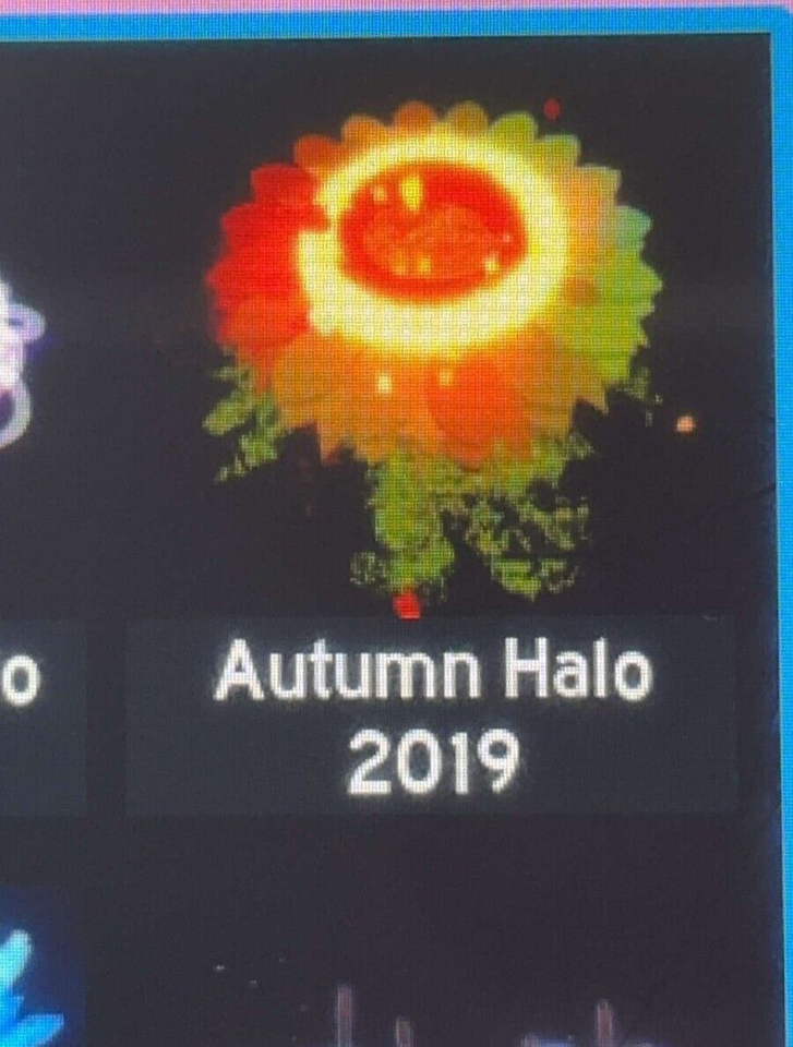 ROYALE HIGH 🦋 AUTUMN HALO 2019 🦋 | eBay