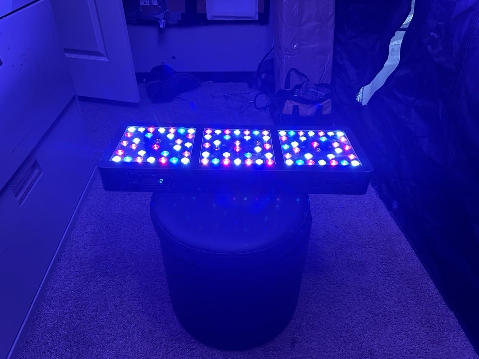 Used Viper Spectra Vt 450 with Remote Control & built in timer. | eBay