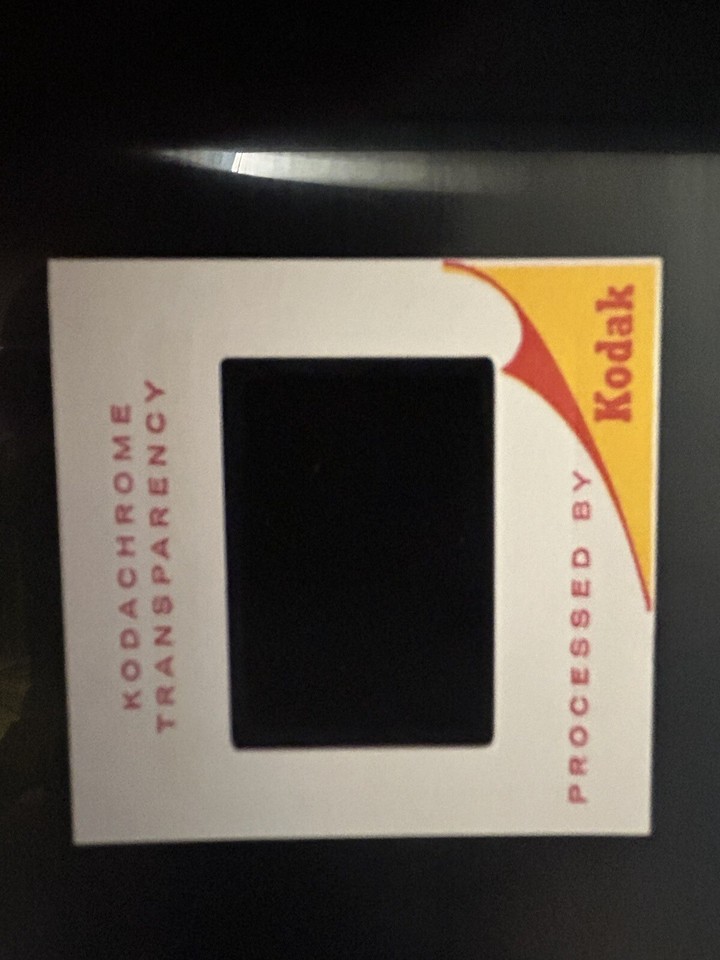 Swimming Pool Head First Dive Girls 35mm Slide 1960s Kodachrome ...