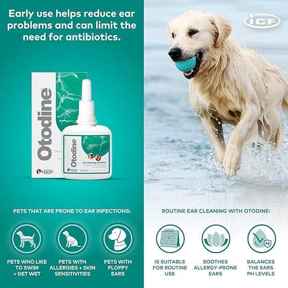 ICF | Otodine | Cat & Dog Ear Cleaner Solution | Dog Ear Drops to Stop ...