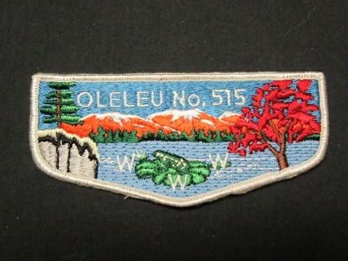 Oleleu 515 f Flap sag | eBay