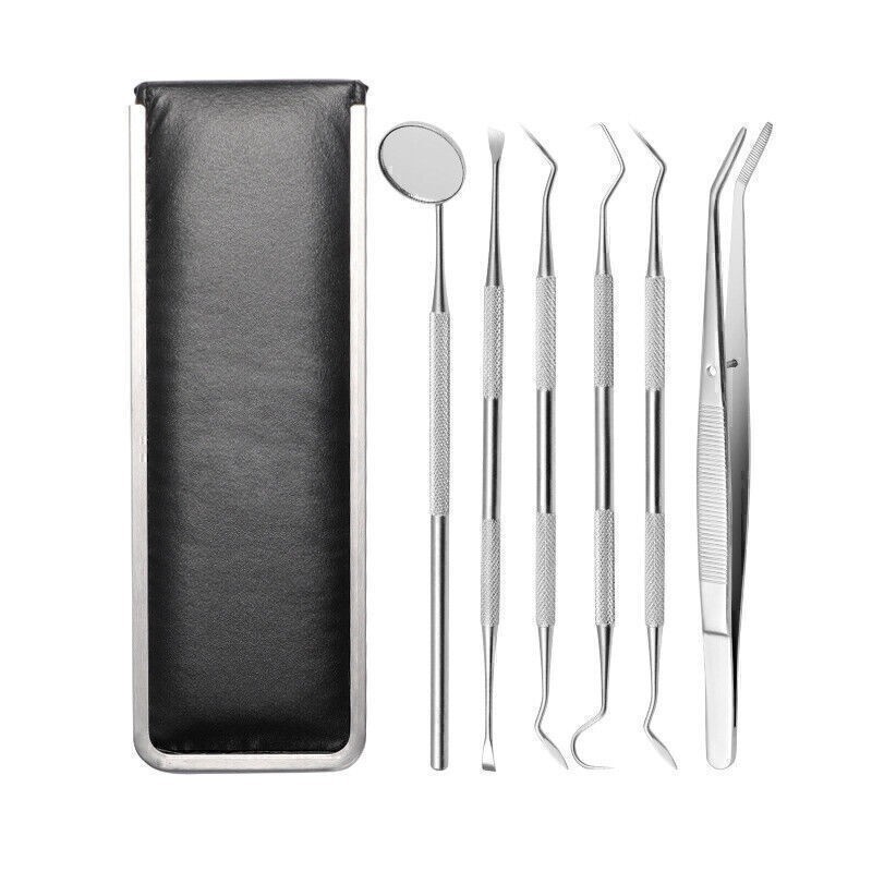 Dental Tooth Cleaning Dentist Scraper Pick Tool Kit Calculus Plaque ...