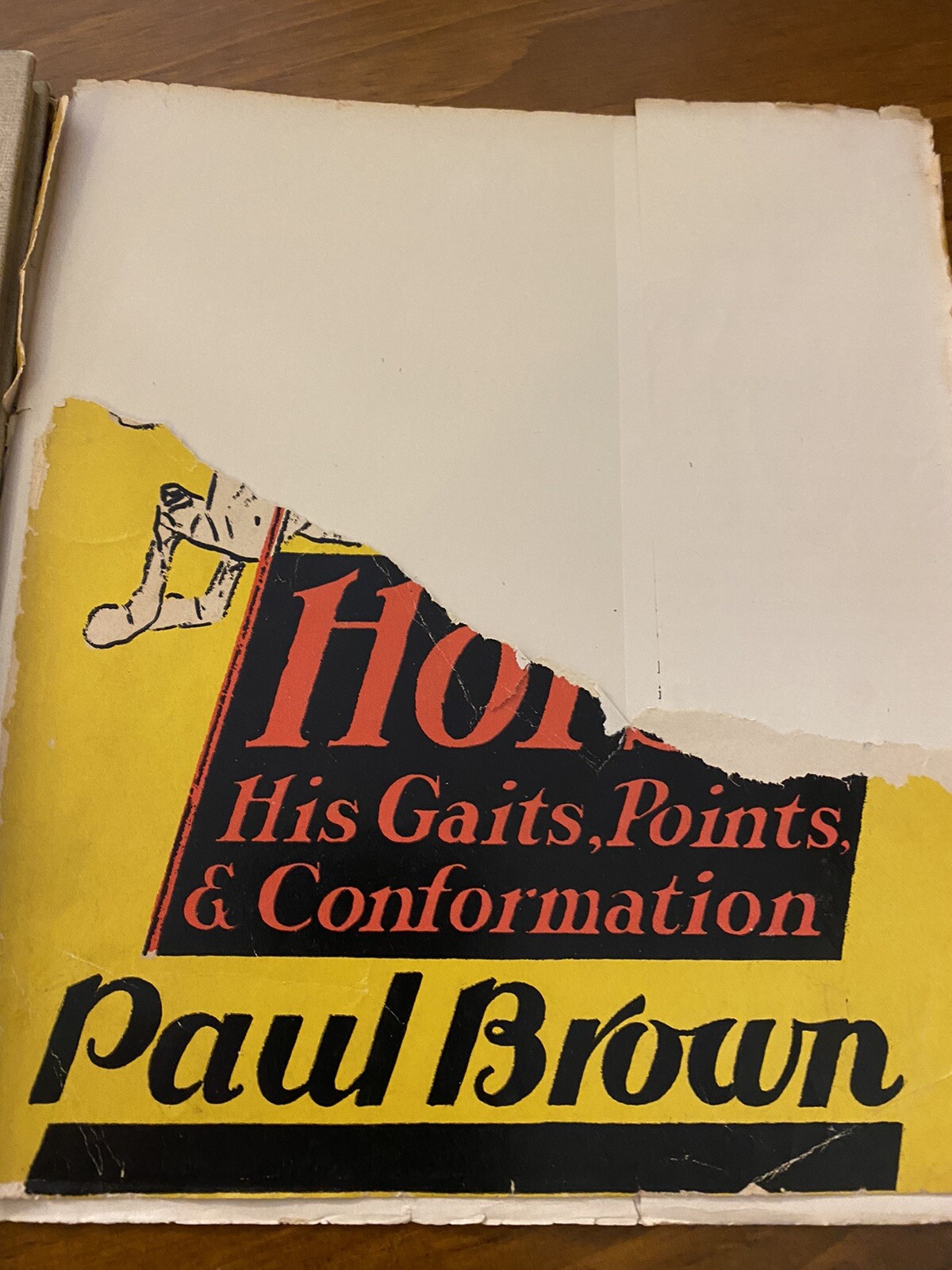 "The Horse: His Gaits, Points, & Conformation" by Paul Brown w ...