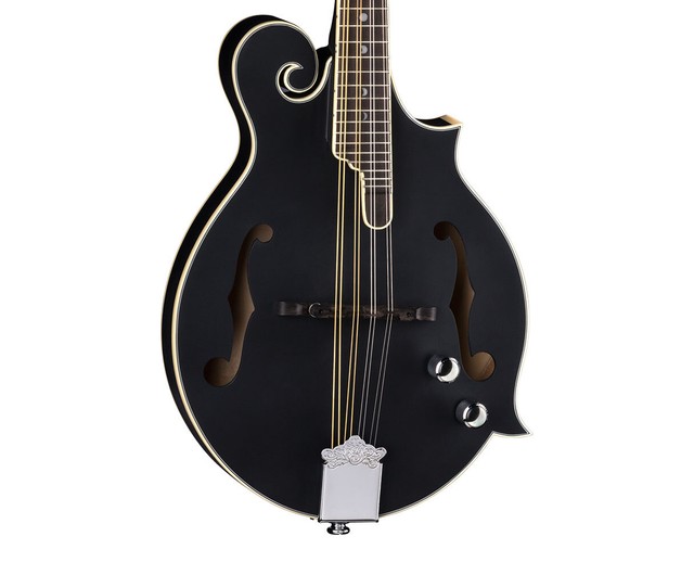 LUNA Guitars BGM Moonbird F-style Piezo Mandolin Satin Black for sale ...
