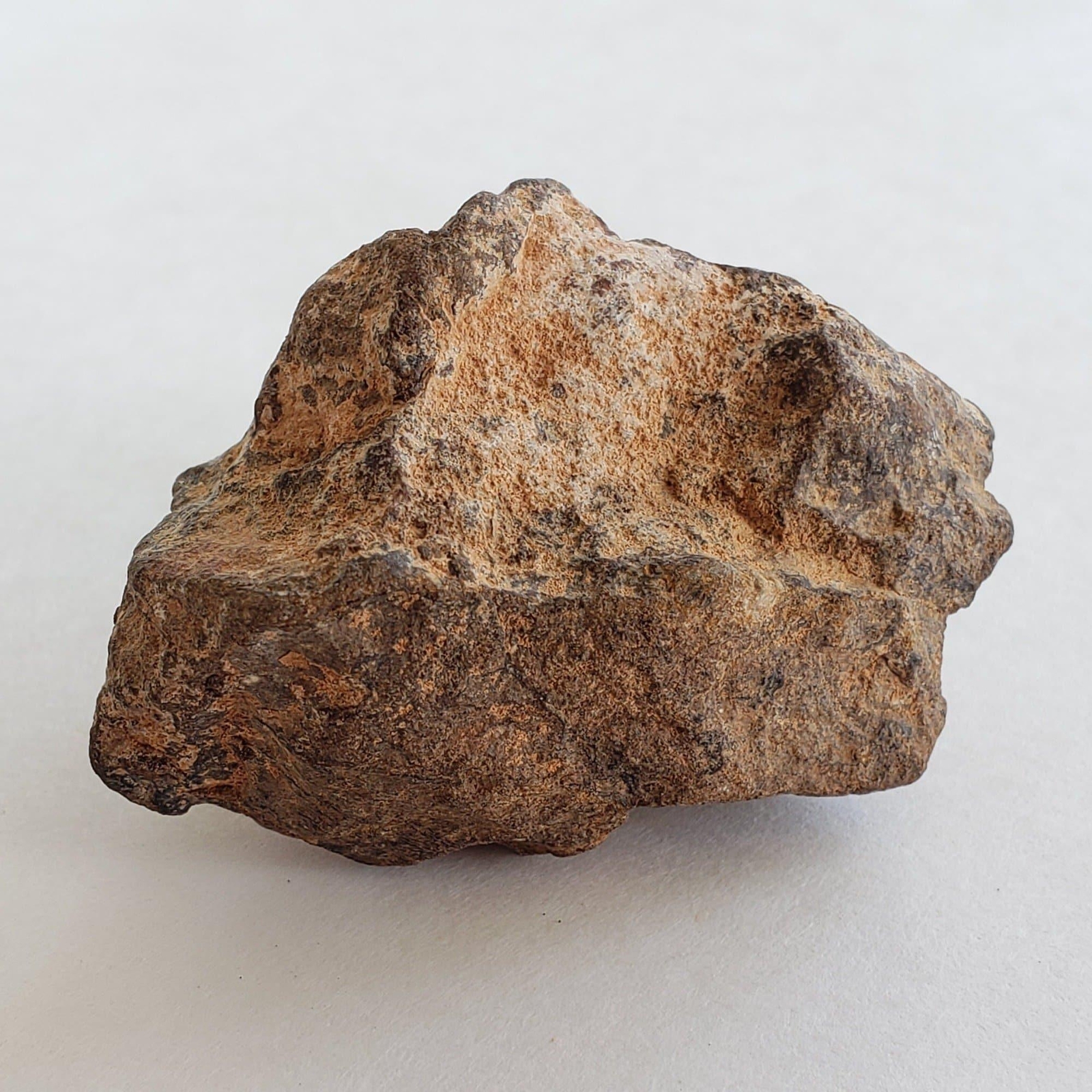 NWA 2965 Meteorite | 45.89 Grams | Individual | EL-Melt Rock | Fossil ...