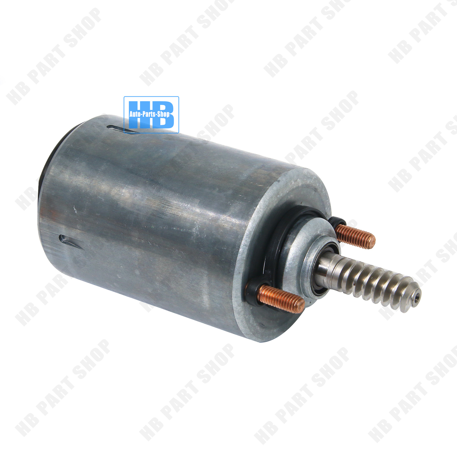 OEM VDO Eccentric Shaft Valvetronic Motor for BMW N42 N46 N46 Engine ...