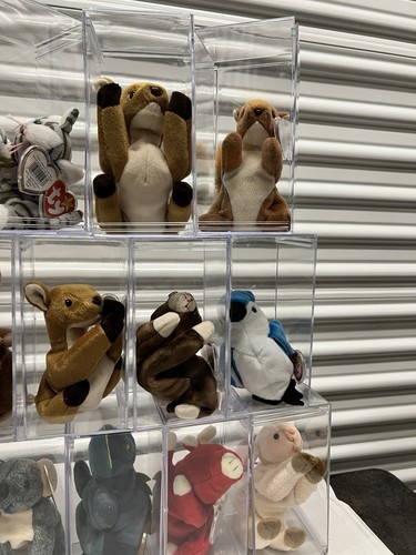 20 -Ty Beanie Baby Lot W/ Tags & In Cases | eBay