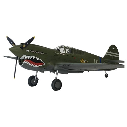 Hasegawa 1/32 P-40 Warhawk 23rd Fighter Group Major Mahoney Model Kit ...