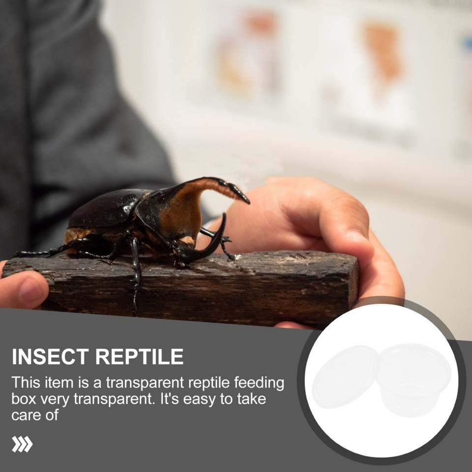 2 Pieces Reptile Feeding Case Small Enclosure Plastic Snake Breeding ...