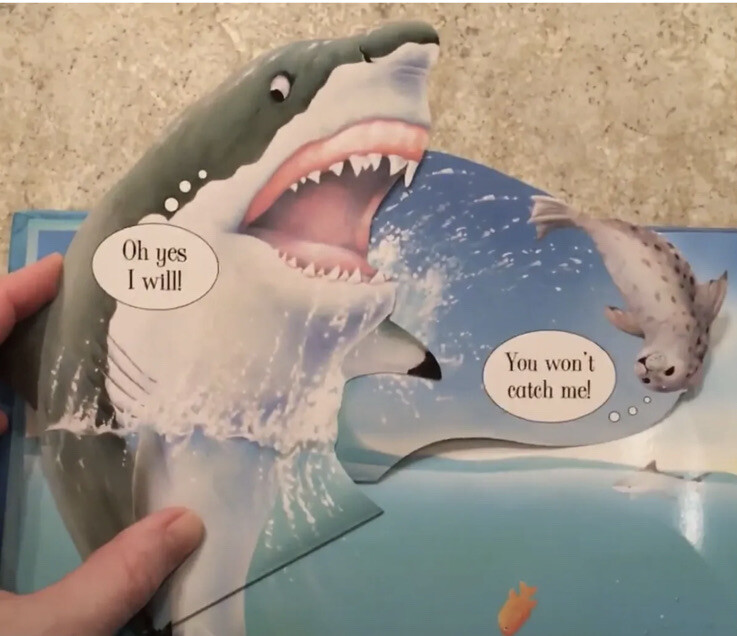 Sharks by Phil Clarke (2005, Hardcover / Lift the Flap Book) for sale ...