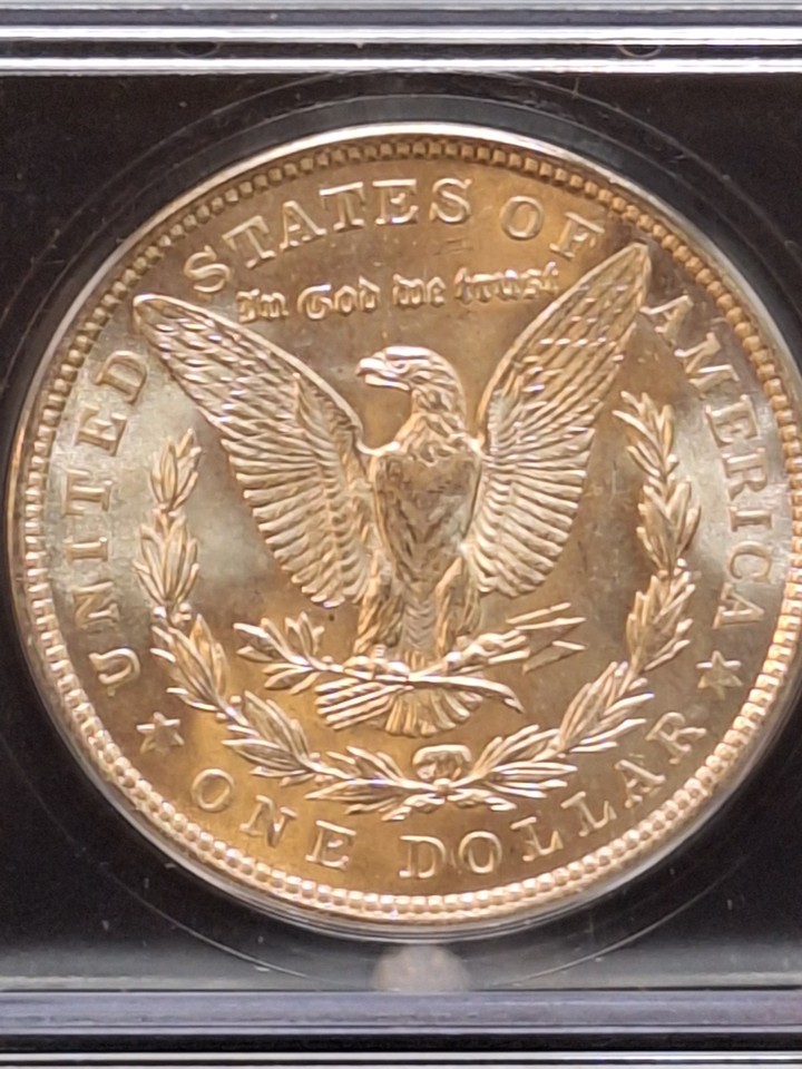 1921 Morgan MS65 ICG GRADE Shiny Beautiful Details | eBay