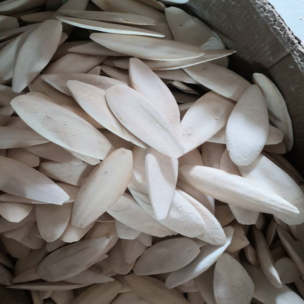 1-10x 12cm Cuttlebone Cuttlefish Sepia Bone Bird Food Calcium Pick ...