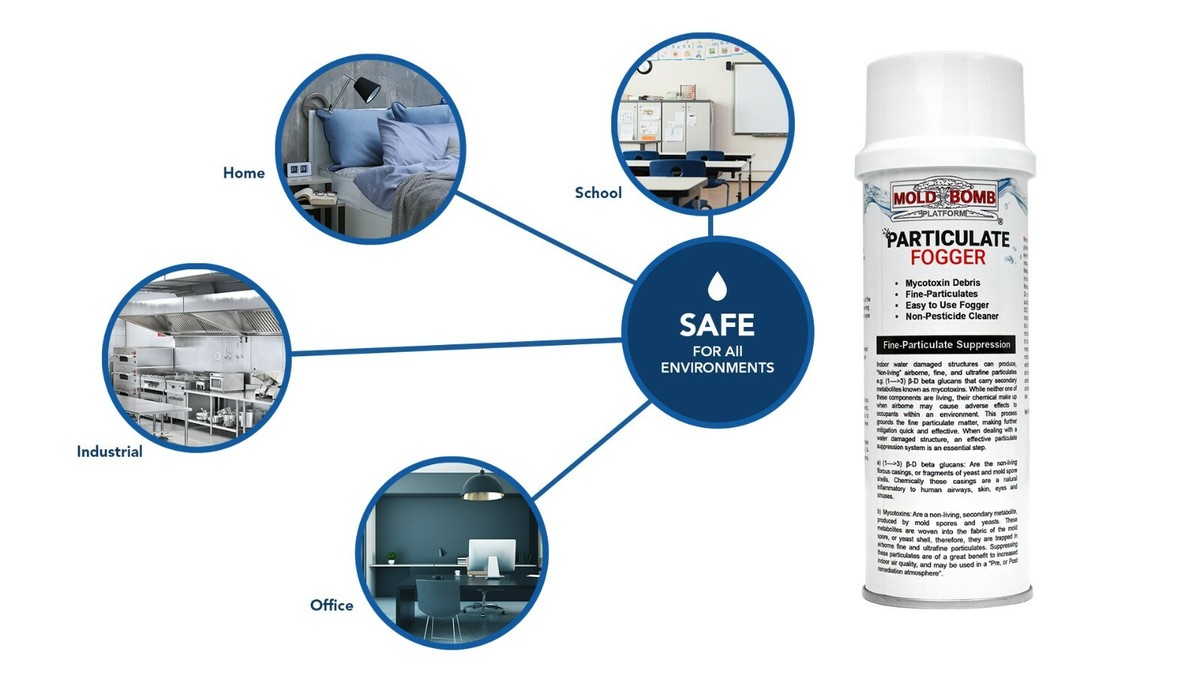 Mold Bombs For Basements