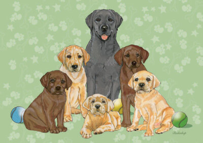 Labrador Retriever Blank Note Cards Boxed | eBay