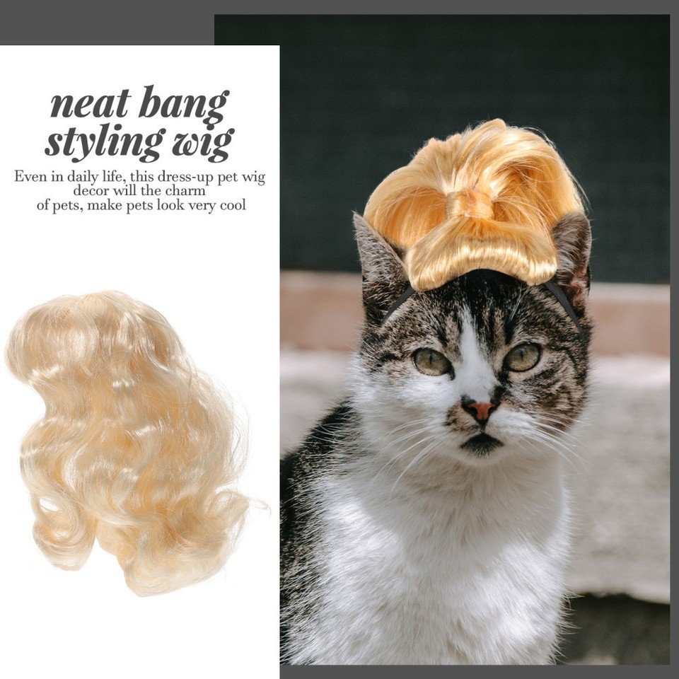 Dog Wig Funny Large Wigs for Dogs Pet Accessory Curly Brown Baddie ...