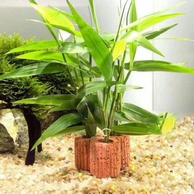 10pcs/set Pottery Aquatic Planting Ring Gravity Fixed Pottery Gravity ...