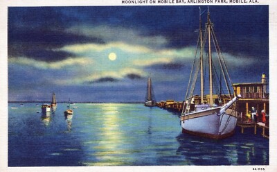 Mobile Alabama Moonlight on Mobile Bay Arlington Park Full Moon Linen ...