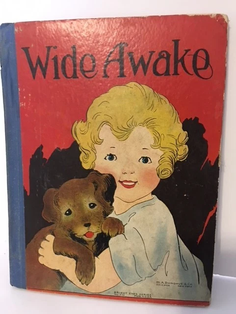 Wide Awake Novel