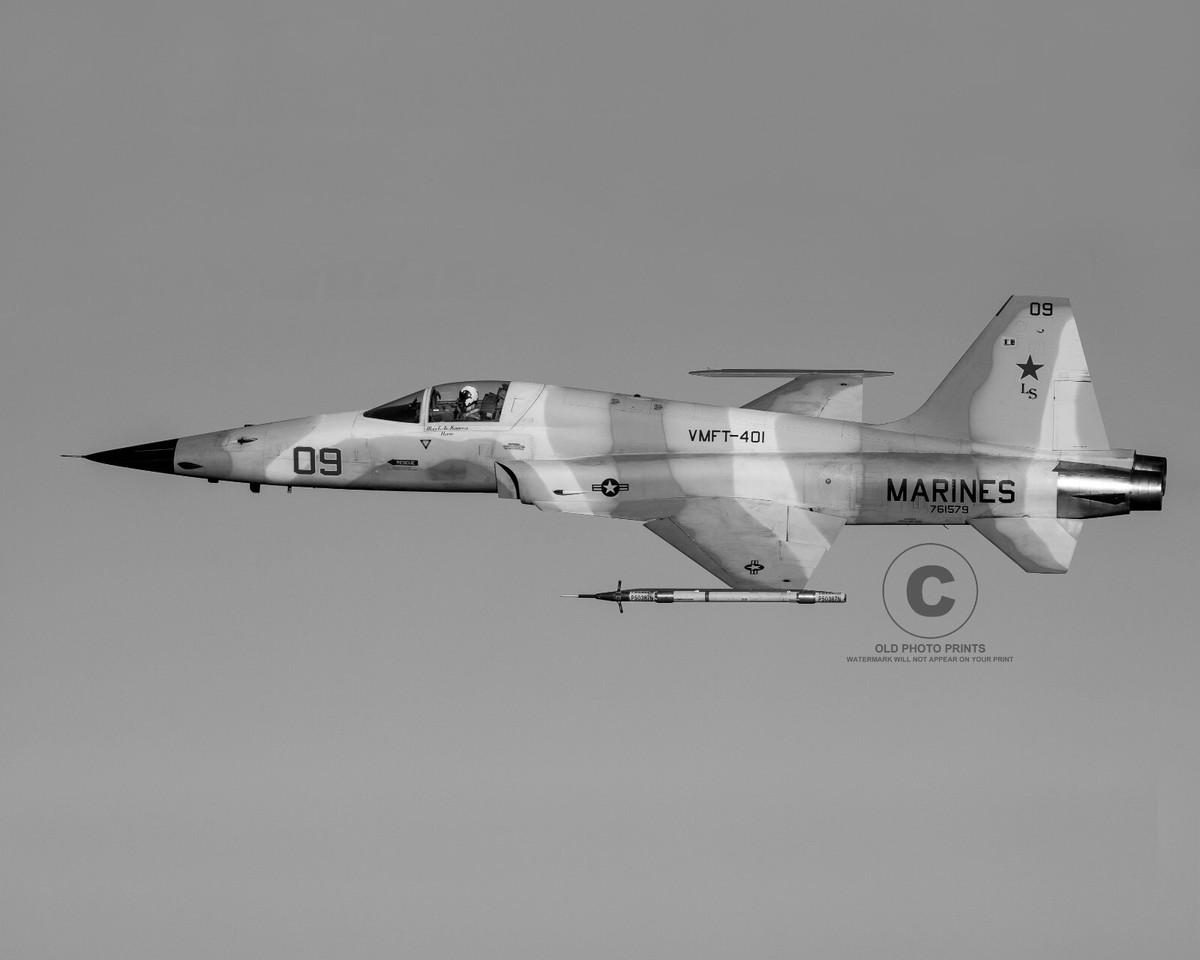 F5 Tiger Fighter Jet
