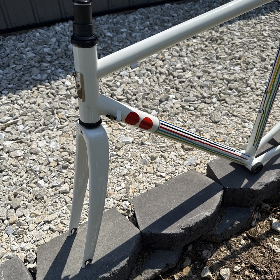 Dario Pegoretti Marcelo Road Frame Set With Chris King Headset | eBay